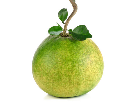 รูปภาพPomela – เลือกดูภาพถ่ายสต็อก เวกเตอร์ และวิดีโอ550 | Adobe Stock