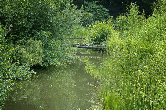 Maroder Images – Browse 238 Stock Photos, Vectors, and Video | Adobe Stock