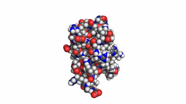 Proteolyse Bilder – Durchsuchen 234 Archivfotos, Vektorgrafiken und ...