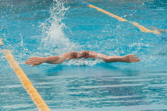 Nuoto Images – Browse 4,224 Stock Photos, Vectors, and Video | Adobe Stock