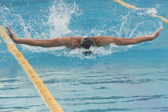 Nuoto Images – Browse 4,224 Stock Photos, Vectors, and Video | Adobe Stock