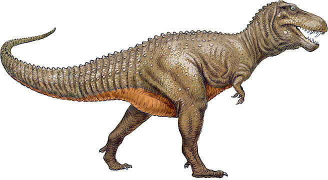 「Saurier」の写真素材 | 2,481件の無料イラスト画像 | Adobe Stock