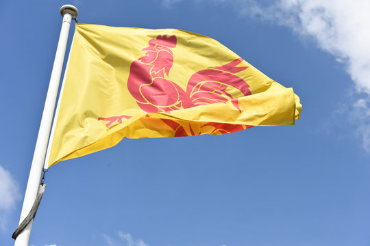 รูปภาพWallonie – เลือกดูภาพถ่ายสต็อก เวกเตอร์ และวิดีโอ12,804 | Adobe Stock