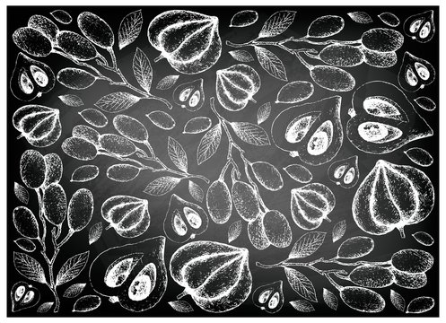 「Jobito」の写真素材 | 16件の無料イラスト画像 | Adobe Stock