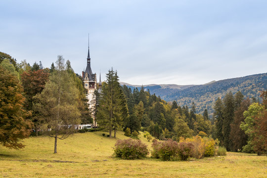 Pelesh Bilder – Durchsuchen 470 Archivfotos, Vektorgrafiken und Videos ...