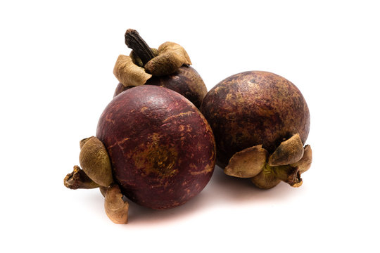 รูปภาพMangostane – เลือกดูภาพถ่ายสต็อก เวกเตอร์ และวิดีโอ256 | Adobe Stock