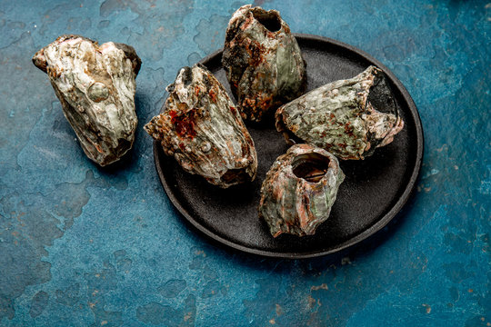 「Picoroco」の写真素材 | 14件の無料イラスト画像 | Adobe Stock