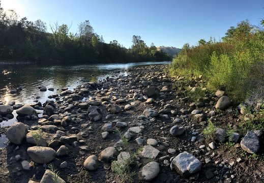 Coloma Images – Browse 981 Stock Photos, Vectors, and Video | Adobe Stock