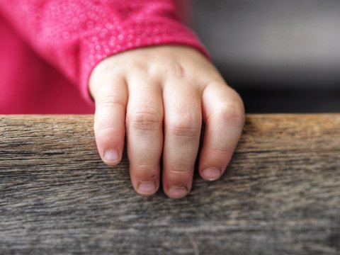 Fingerbreadth Bilder – Durchsuchen 169,530 Archivfotos, Vektorgrafiken ...