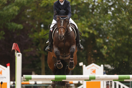 Imagens de Springpferd – Explore Fotografias do Stock, Vetores e Vídeos ...