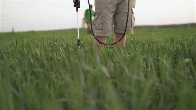 Agrotechnology Images – Browse 7,618 Stock Photos, Vectors, and Video ...