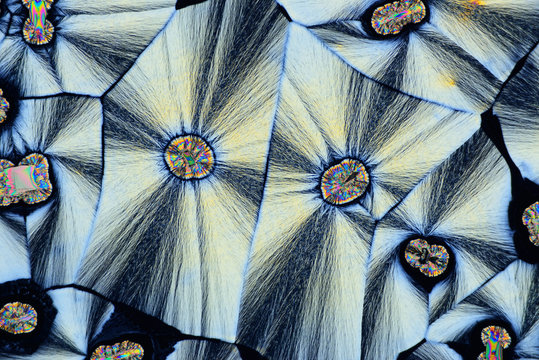 รูปภาพMicrophoto – เลือกดูภาพถ่ายสต็อก เวกเตอร์ และวิดีโอ1,133 | Adobe ...