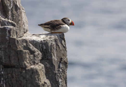 รูปภาพRusten – เลือกดูภาพถ่ายสต็อก เวกเตอร์ และวิดีโอ861 | Adobe Stock