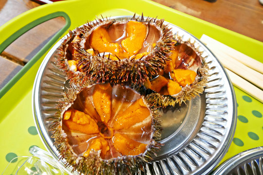 Otsukuri Images – Browse 33 Stock Photos, Vectors, and Video | Adobe Stock