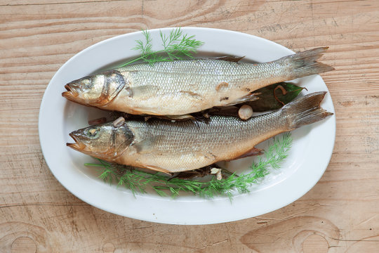 รูปภาพSeebarsch – เลือกดูภาพถ่ายสต็อก เวกเตอร์ และวิดีโอ112 | Adobe Stock