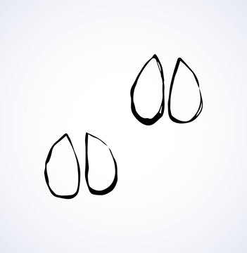 Goat Hoof Prints
