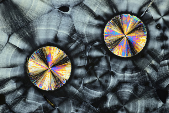 รูปภาพMicrophoto – เลือกดูภาพถ่ายสต็อก เวกเตอร์ และวิดีโอ1,133 | Adobe ...