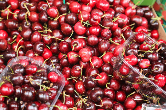 รูปภาพCerise – เลือกดูภาพถ่ายสต็อก เวกเตอร์ และวิดีโอ50,122 | Adobe Stock