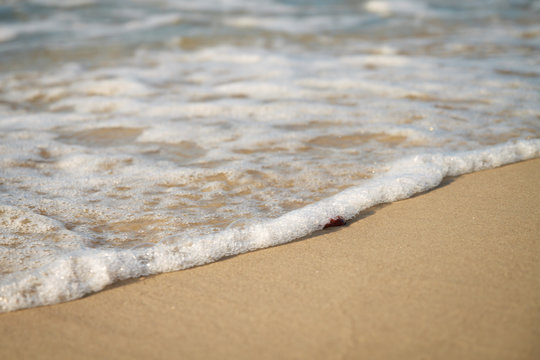 Verschluckt Images – Browse 39 Stock Photos, Vectors, and Video | Adobe ...