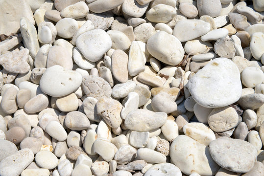 รูปภาพCaillasse – เลือกดูภาพถ่ายสต็อก เวกเตอร์ และวิดีโอ1,624 | Adobe Stock