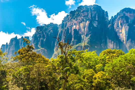 รูปภาพAuyantepui – เลือกดูภาพถ่ายสต็อก เวกเตอร์ และวิดีโอ310 | Adobe Stock