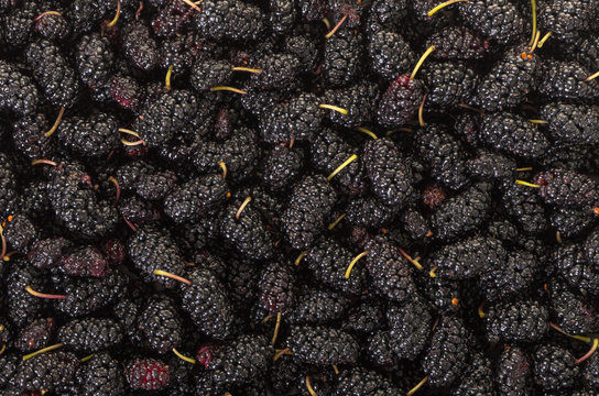 Mulberry Texture Images – Browse 22,504 Stock Photos, Vectors, and ...
