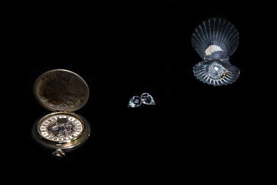 Figgery Images – Browse 292 Stock Photos, Vectors, and Video | Adobe Stock