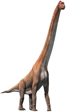Giraffatitan Images – Browse 60 Stock Photos, Vectors, and Video ...