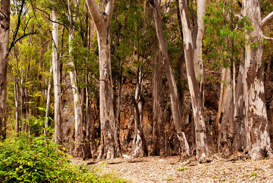 Chillar Bilder – Durchsuchen 149 Archivfotos, Vektorgrafiken und Videos ...