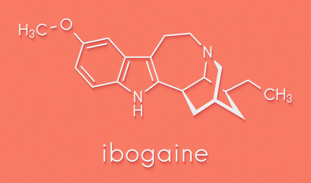 รูปภาพIboga – เลือกดูภาพถ่ายสต็อก เวกเตอร์ และวิดีโอ65 | Adobe Stock