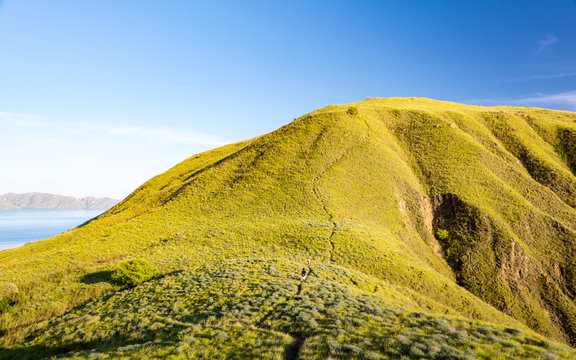 รูปภาพLawa – เลือกดูภาพถ่ายสต็อก เวกเตอร์ และวิดีโอ2,834 | Adobe Stock