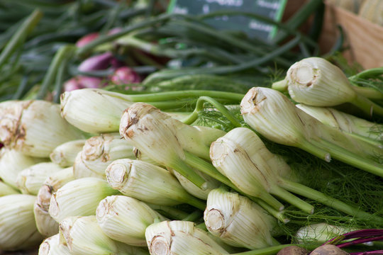 「Fenouil」の画像 - 1,284 件の Stock 写真、ベクターおよびビデオ | Adobe Stock