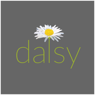 Daisy Logo Images – Browse 29,558 Stock Photos, Vectors, and Video ...