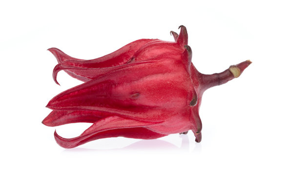 Bissap Images – Parcourir 10,031 le catalogue de photos, vecteurs et ...