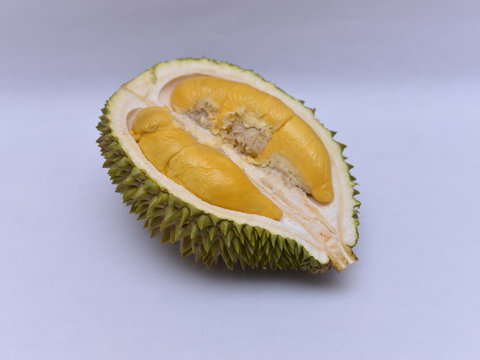 รูปภาพMusang – เลือกดูภาพถ่ายสต็อก เวกเตอร์ และวิดีโอ1,036 | Adobe Stock