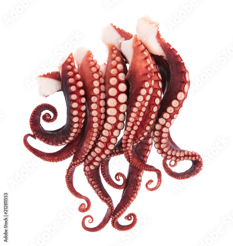 "tentacles of octopus isolated on white background" Stock photo and ...