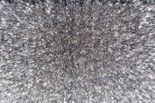 รูปภาพBothi – เลือกดูภาพถ่ายสต็อก เวกเตอร์ และวิดีโอ214 | Adobe Stock