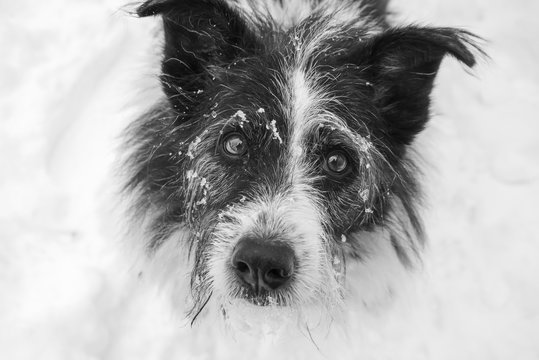 "Intent Look" Bilder – Durchsuchen 176 Archivfotos, Vektorgrafiken und ...