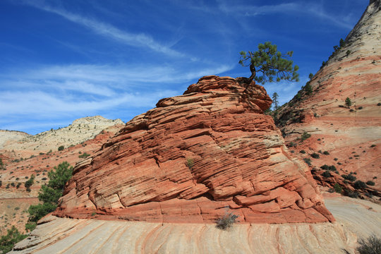 Rumin Gong photos, images, assets | Adobe Stock