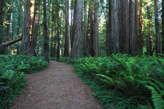 Rumin Gong photos, images, assets | Adobe Stock