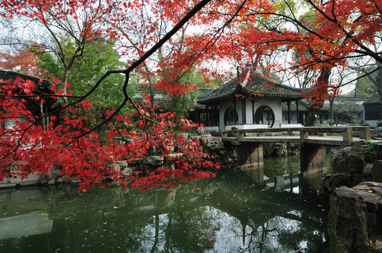 Rumin Gong photos, images, assets | Adobe Stock