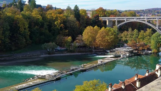 Aara Images – Browse 207 Stock Photos, Vectors, and Video | Adobe Stock