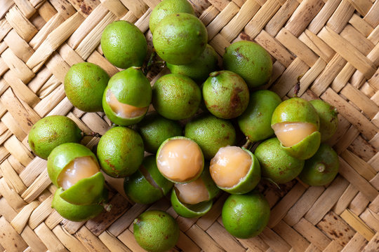 「Genip」の画像 - 475 件の Stock 写真、ベクターおよびビデオ | Adobe Stock