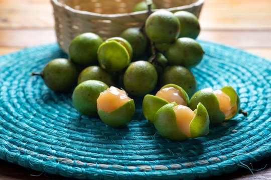 Genip Bilder – Durchsuchen 475 Archivfotos, Vektorgrafiken und Videos ...