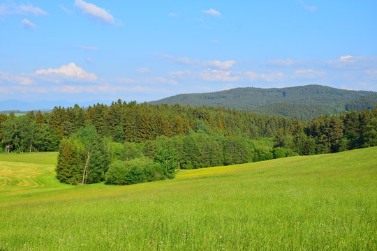 Traitsching Images – Browse 30 Stock Photos, Vectors, and Video | Adobe ...