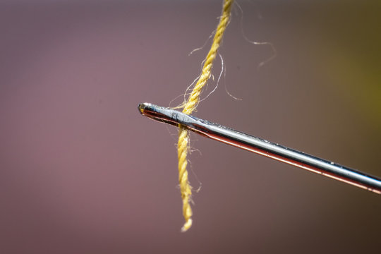 Niddle Images – Browse 294 Stock Photos, Vectors, and Video | Adobe Stock