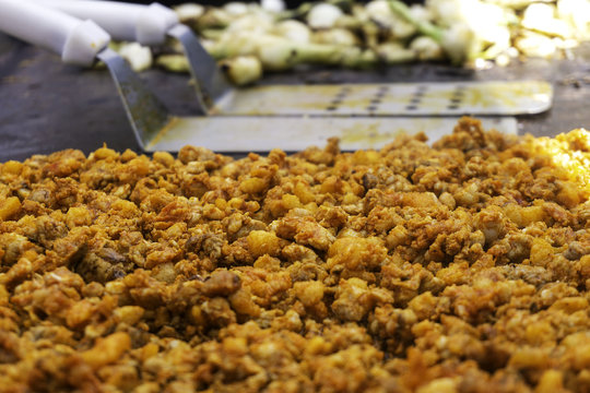 Spachelor Bilder – Durchsuchen 17 Archivfotos, Vektorgrafiken und ...