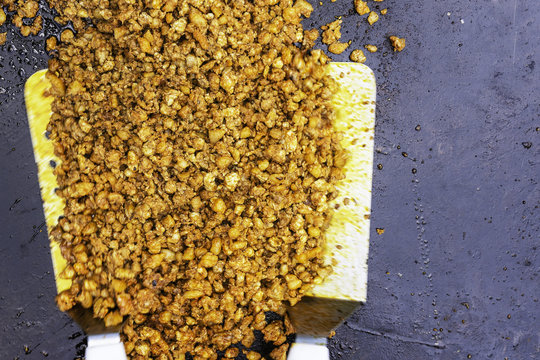 Spachelor Bilder – Durchsuchen 17 Archivfotos, Vektorgrafiken und ...