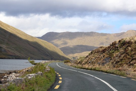 Perd Billeder – Gennemse 162 stockfotos, vektorer og videoer | Adobe Stock