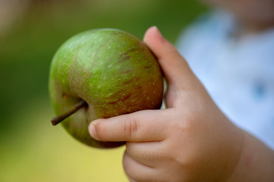 Tastsinn bilder – Bläddra bland 760 stockfoton, vektorer och videor ...